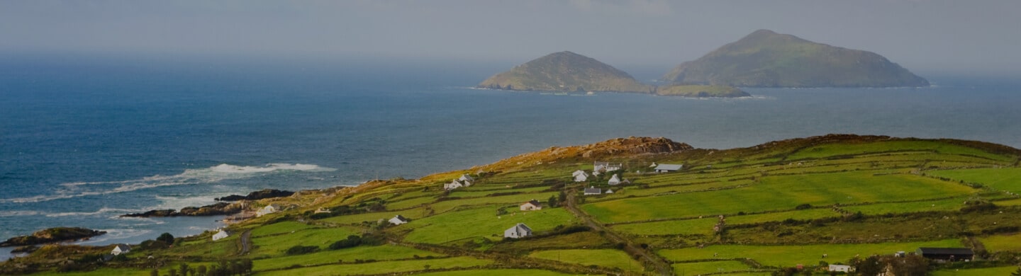 GROVE TURKEYS LTD - Irish Food & Drink