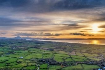 GROVE TURKEYS LTD - Irish Food & Drink